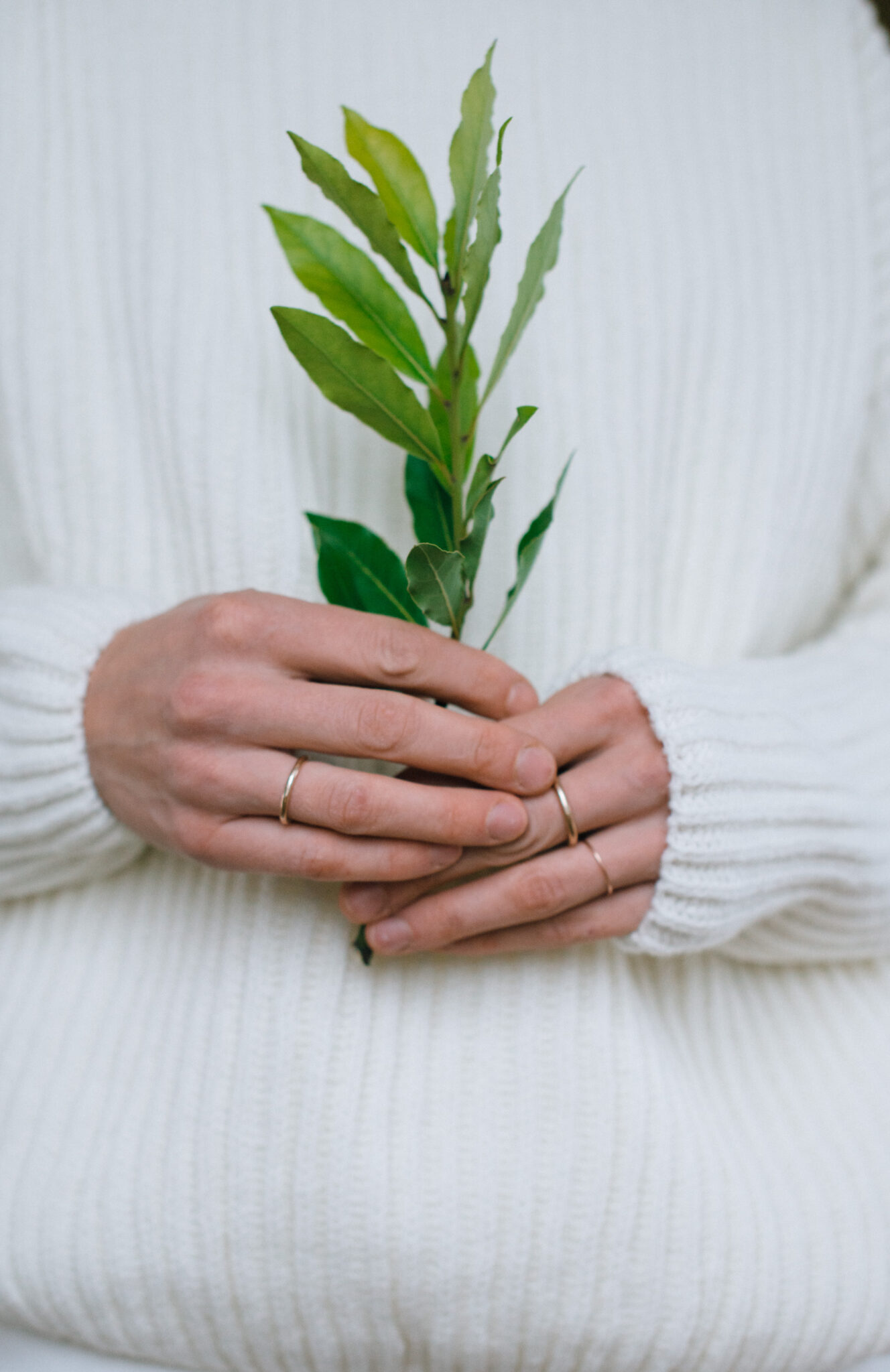 slow winter | ein paar Gedanken zum Jahreswechsel - Das Mundwerk